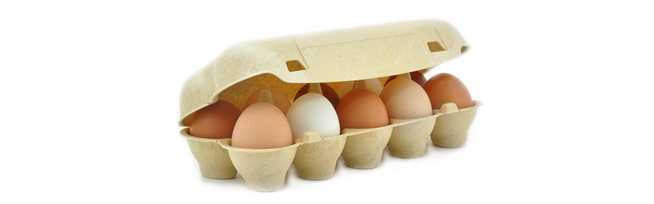 RedFroq Eggpackaging // packaging > Standard